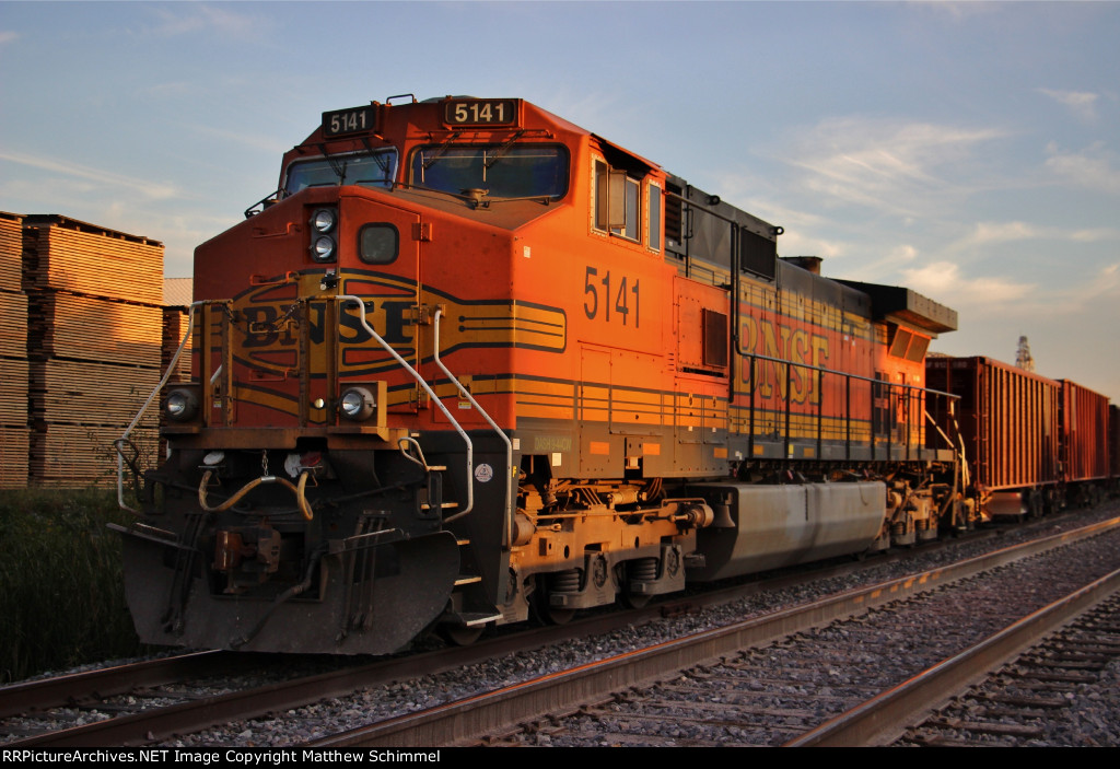 Sitting In The Evening Glint